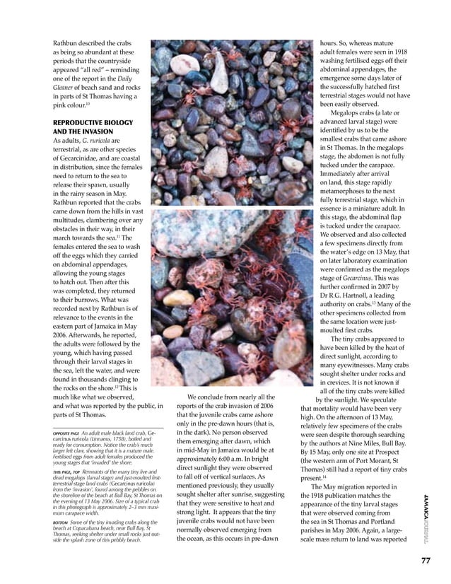 Crab invasion 47507813 | PDF