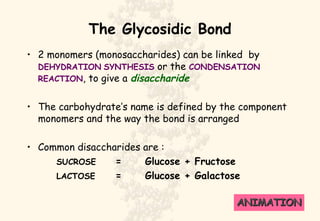 Carbohydrates | PPT