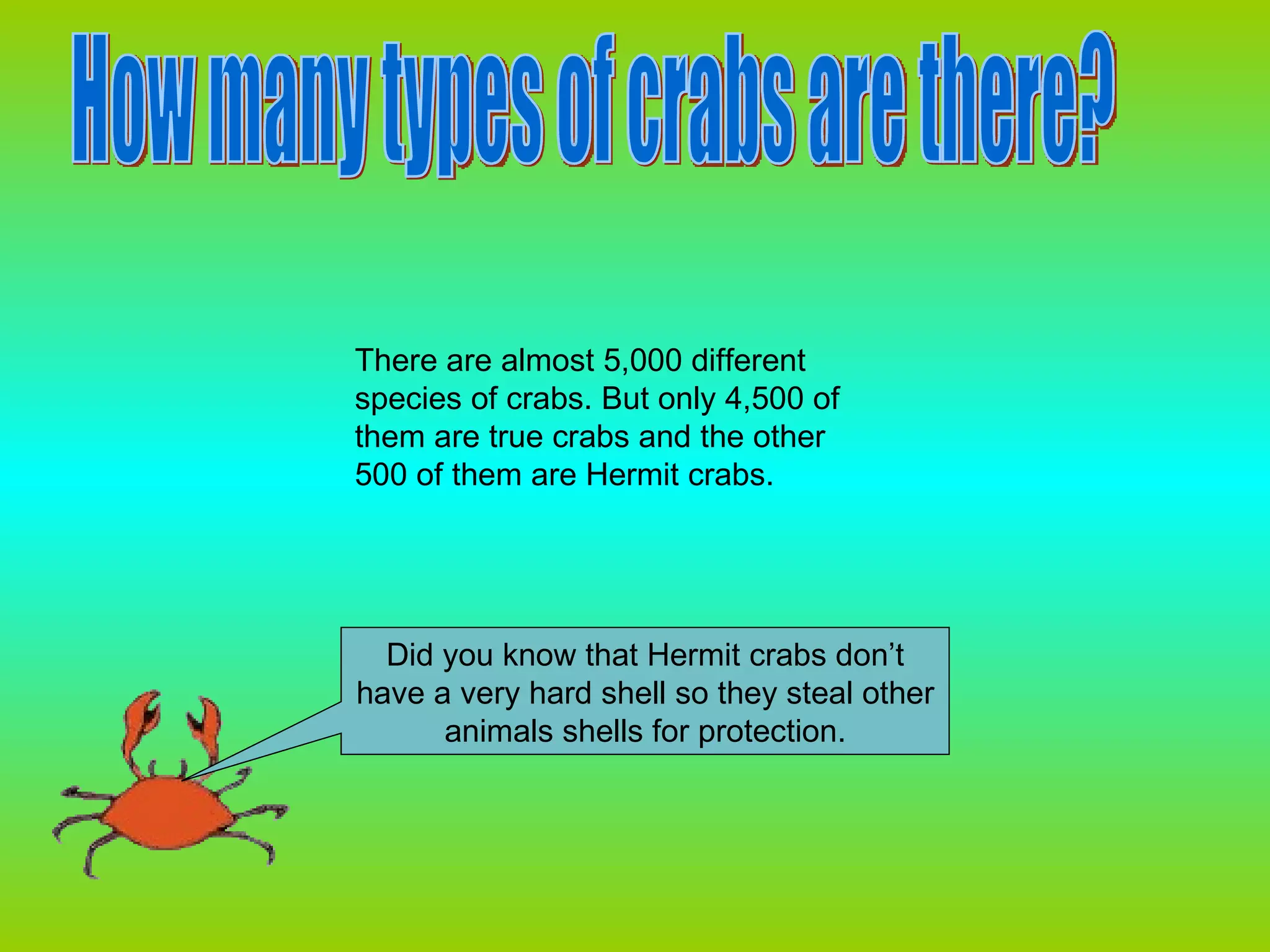 Crab Power Point | PPT