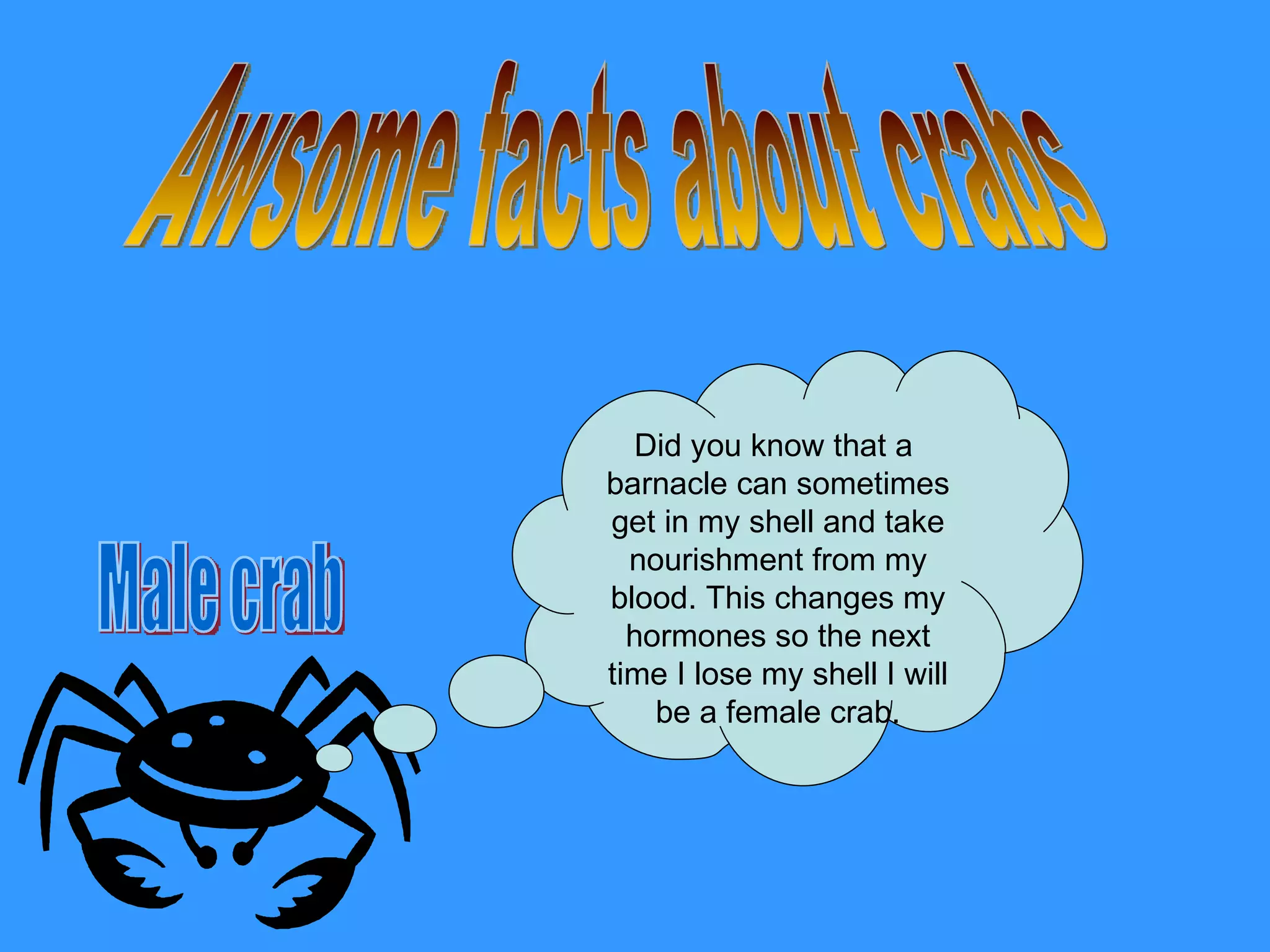 Crab Power Point | PPT