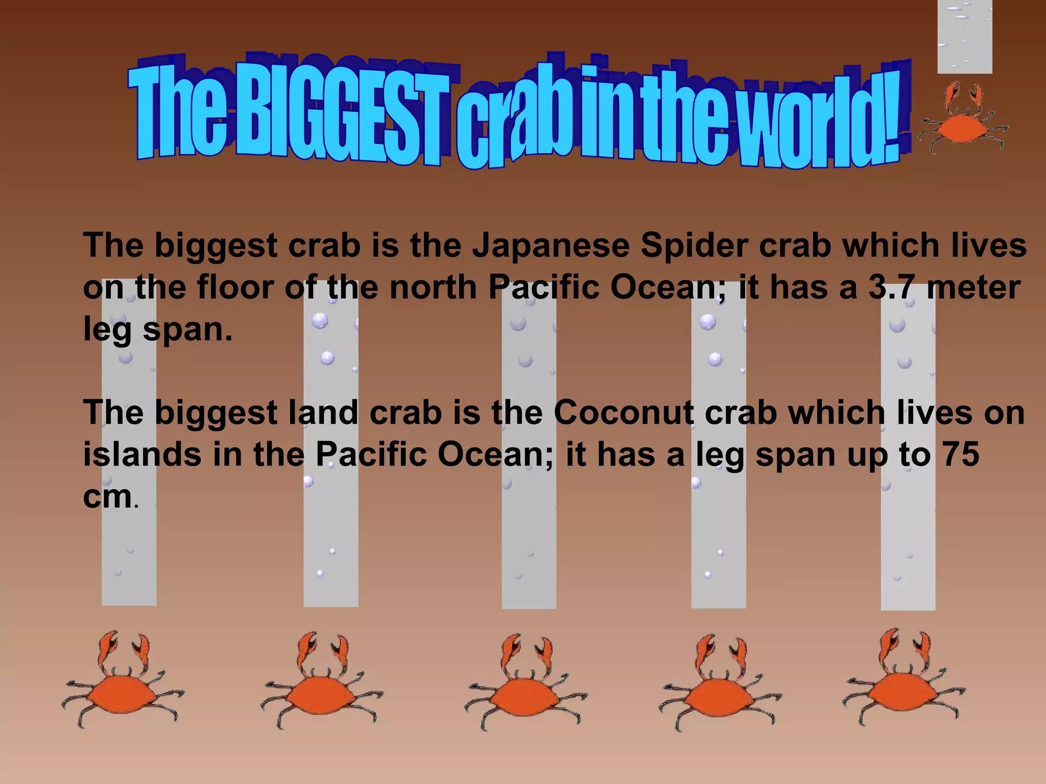 Crab Power Point | PPT