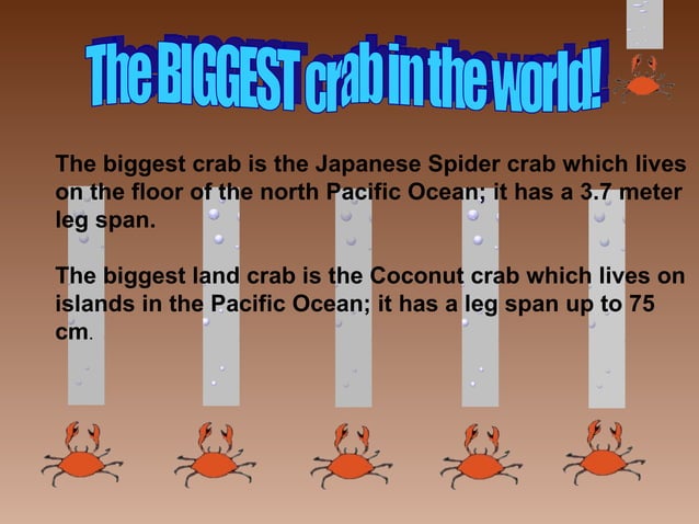Crab Power Point | PPT | Zoos & Aquariums | Attractions