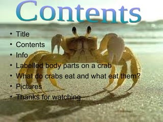 Crabs | PPT