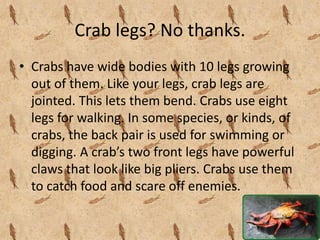 Crabs | PPTX