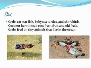Crabs by andres | PPTX | Fish and Aquariums | Pets