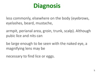 Crabs/Pubic Lice | PPT
