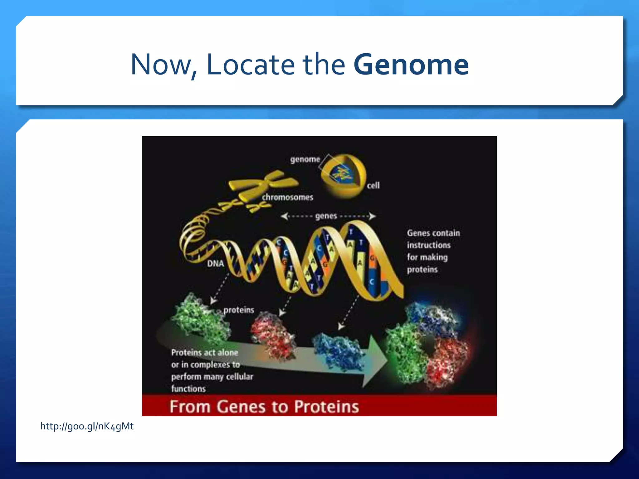 Cracking the code of life | PPT