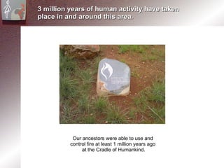 Cradle of Humankind | ODP