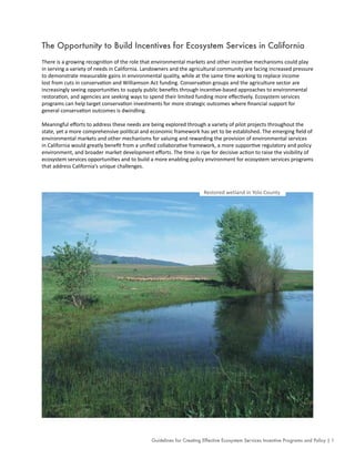 Guidelines for Creating Effective Ecosystem Services Incentive Programs ...