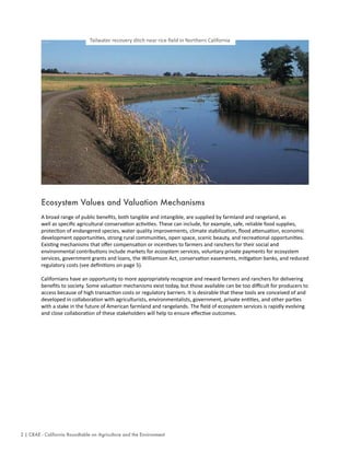 Guidelines for Creating Effective Ecosystem Services Incentive Programs ...