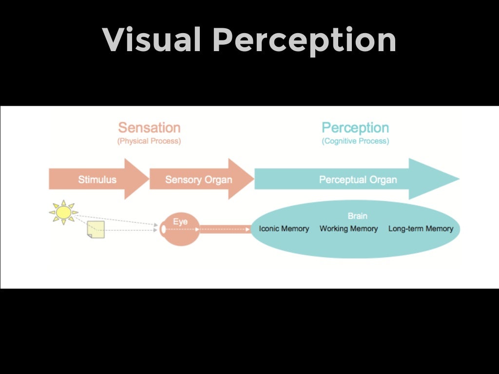 Visual Perception Examples