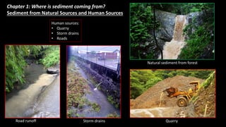 Terrigenous sediment dynamics in a small, tropical, fringing-reef ...