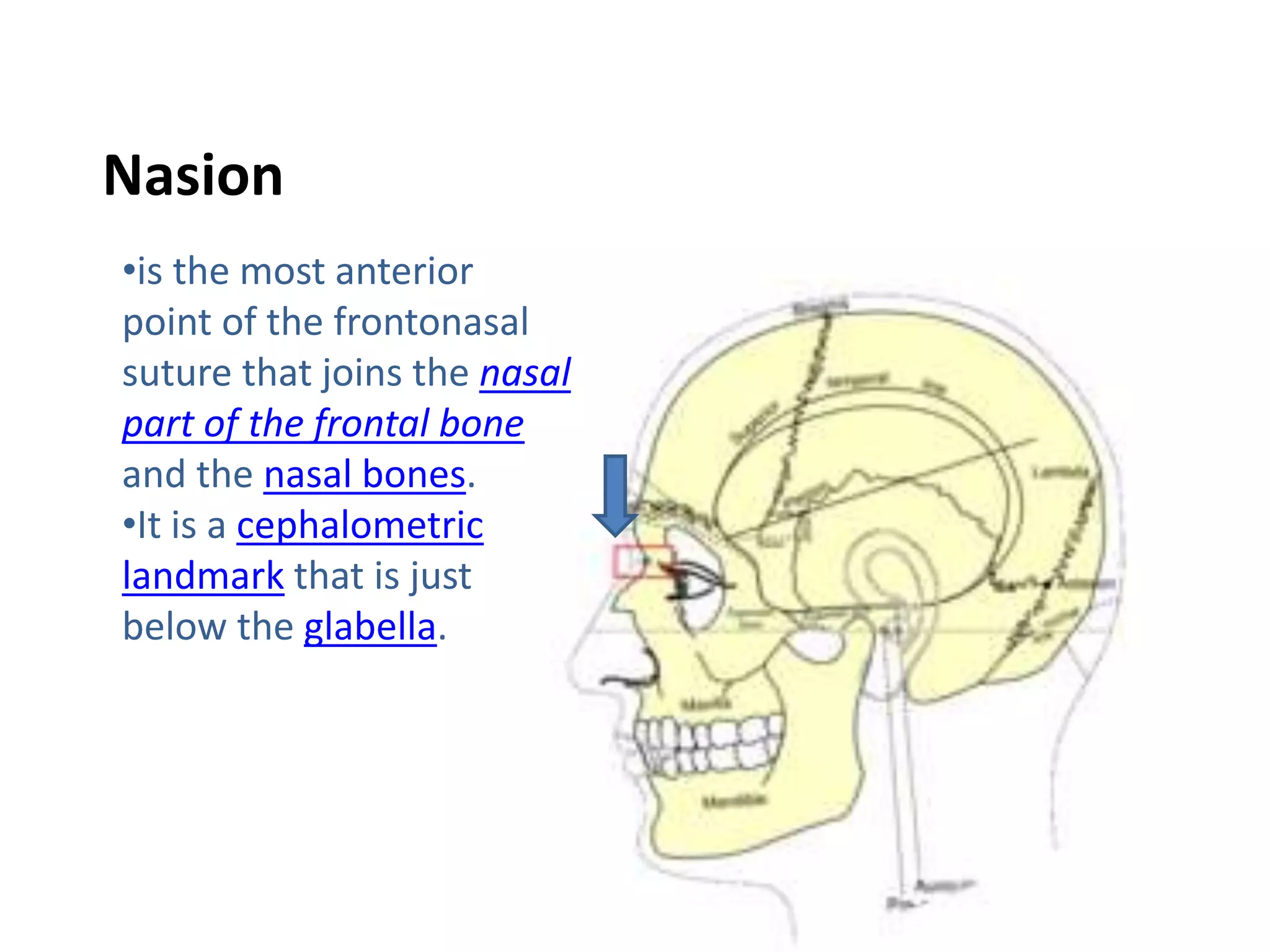 crainometric 2022.pptx