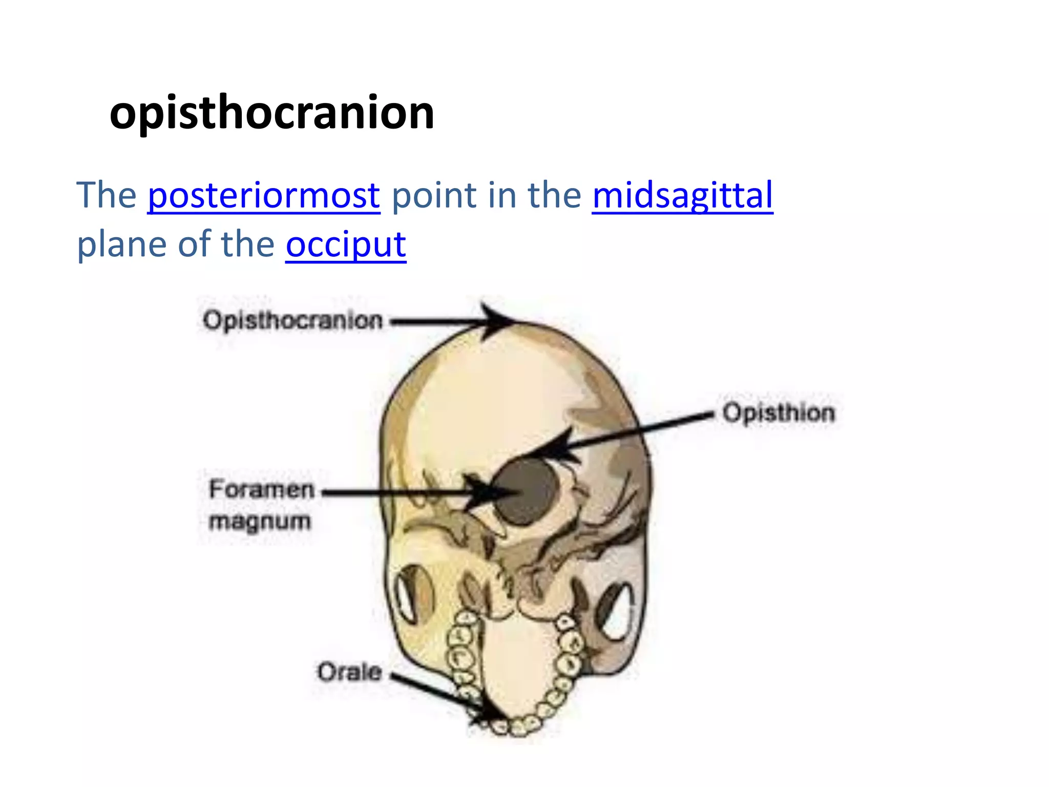 crainometric 2022.pptx