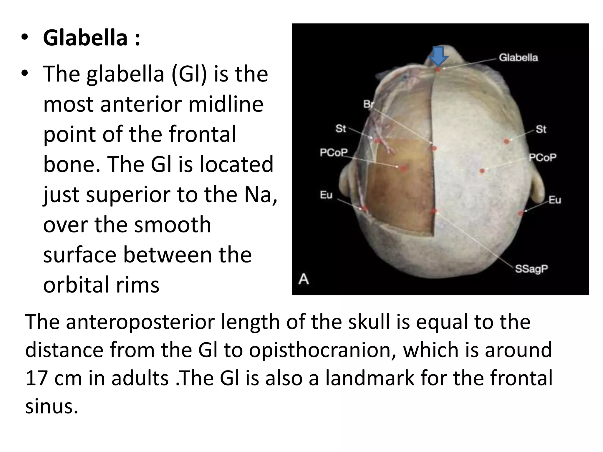 crainometric 2022.pptx