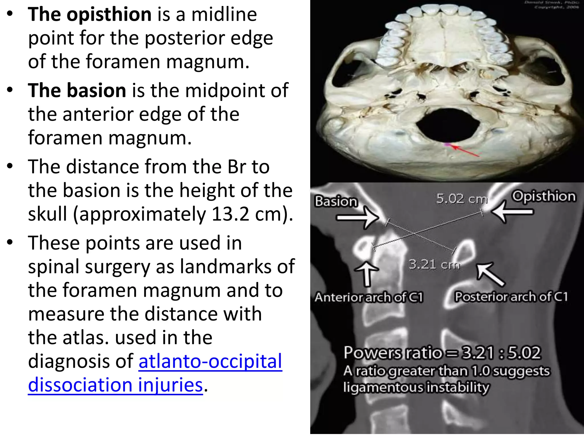 crainometric 2022.pptx