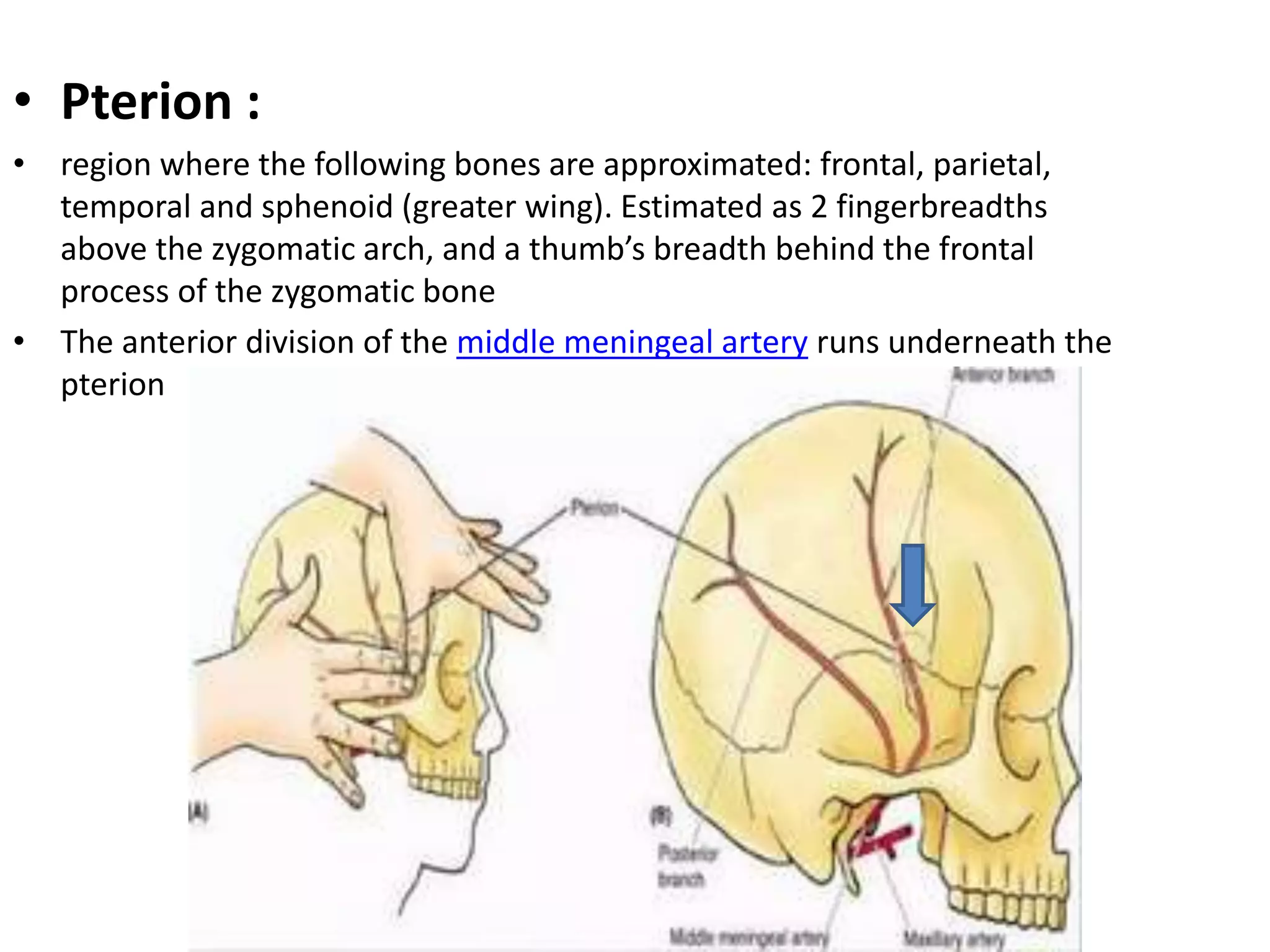 crainometric 2022.pptx
