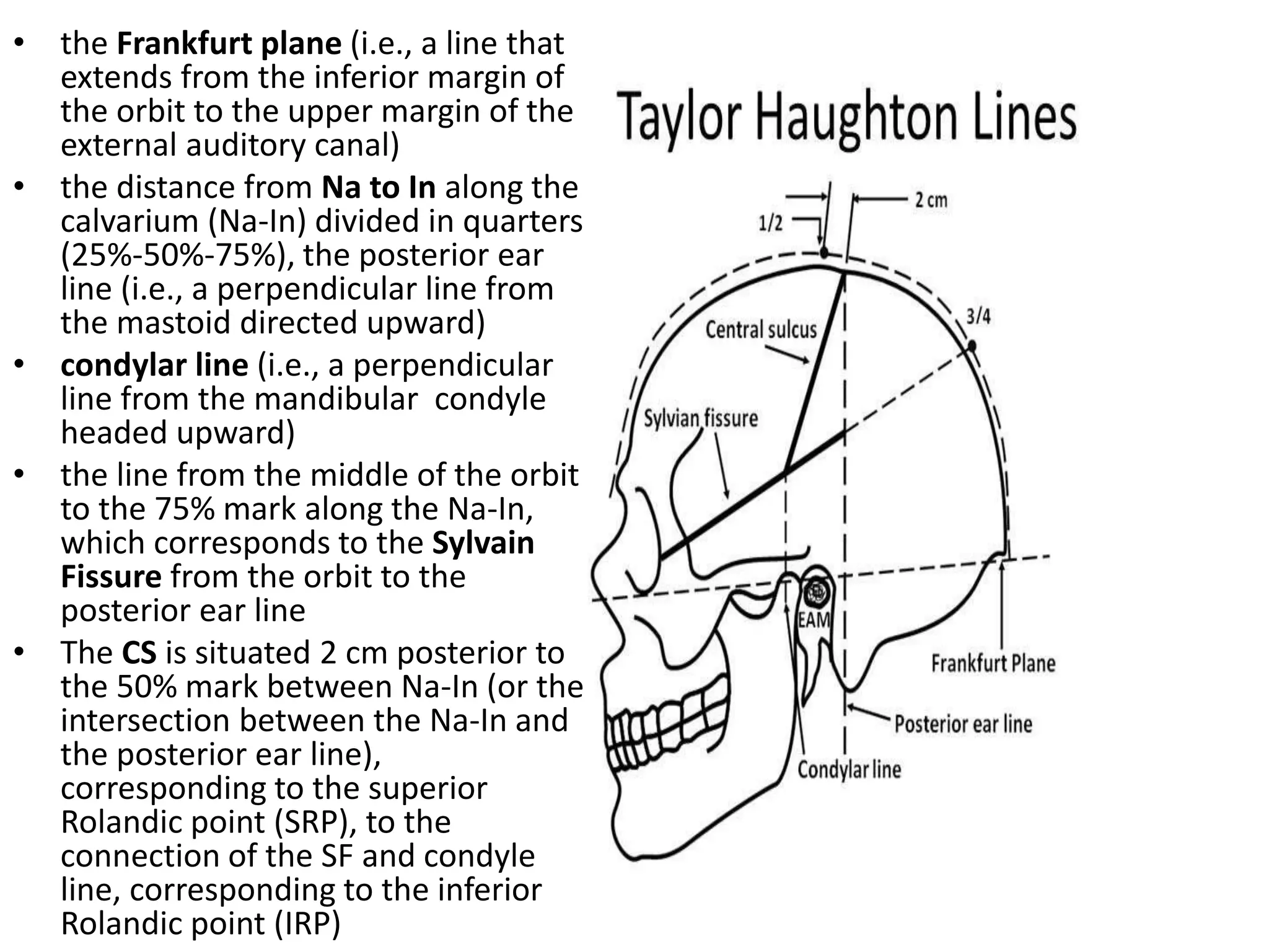 crainometric 2022.pptx