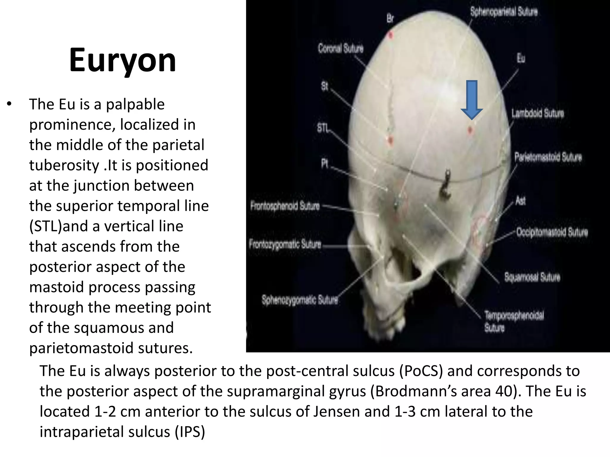 crainometric 2022.pptx