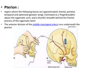 crainometric 2022.pptx