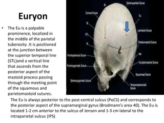 crainometric 2022.pptx