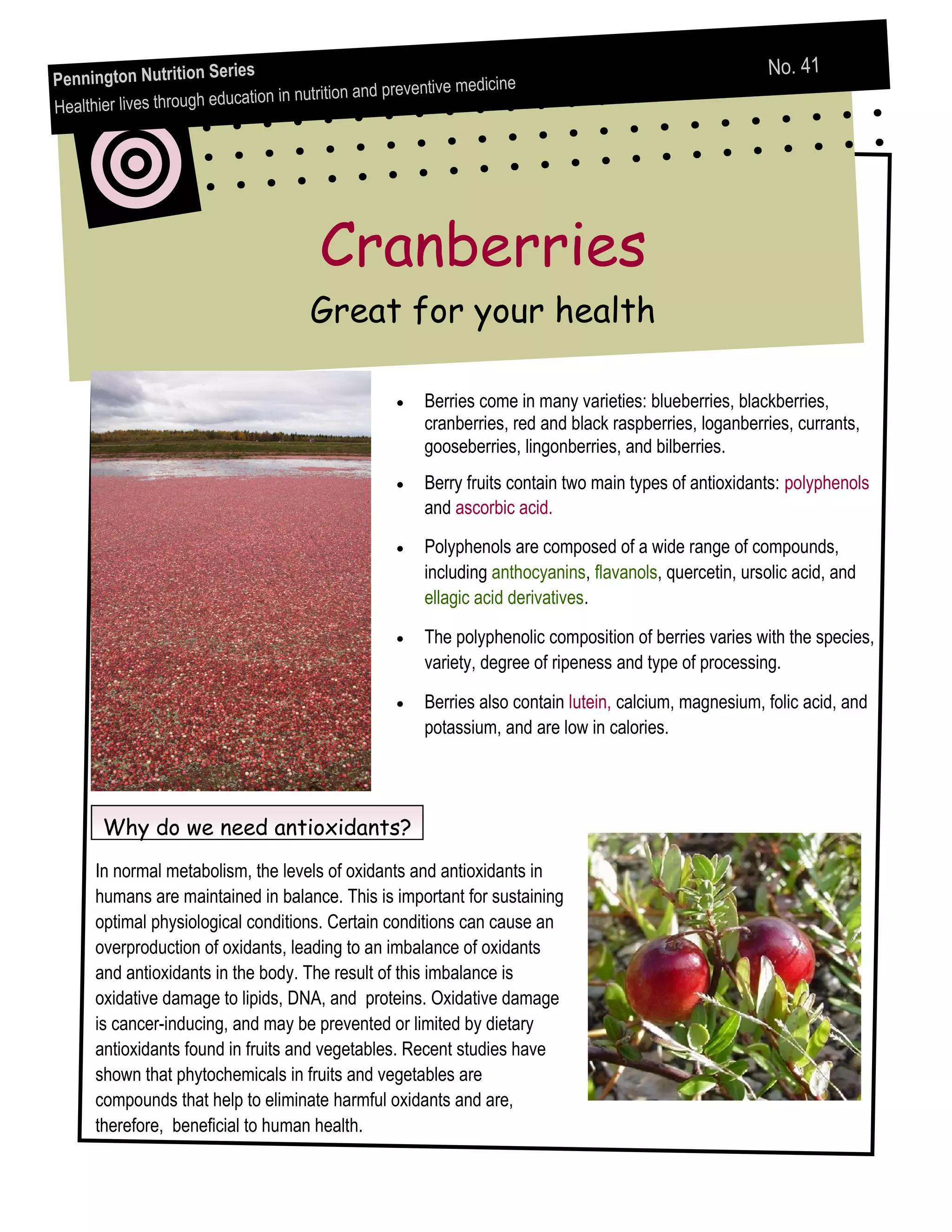 Health benefits of Cranberries | PDF