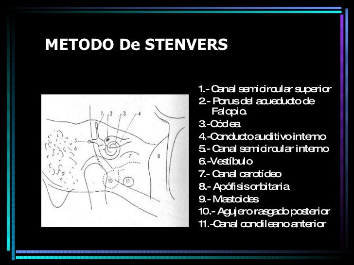 RADIO ANATOMIA CRANEO