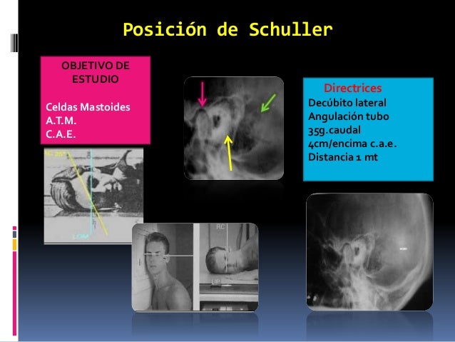 Craneo practica 2015 copia