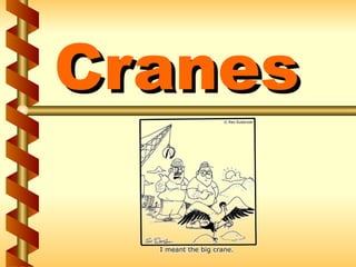 Cranes. mobile crane work activity ppt ttms.ppt