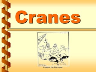 Cranes Safety Details.ppt