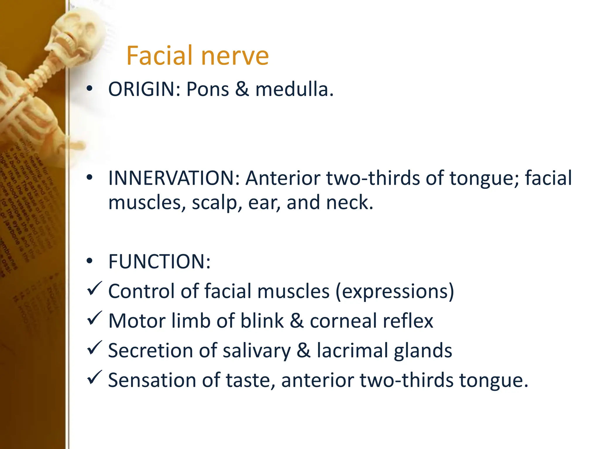 The twelve pairs of cranial nervess.pptx