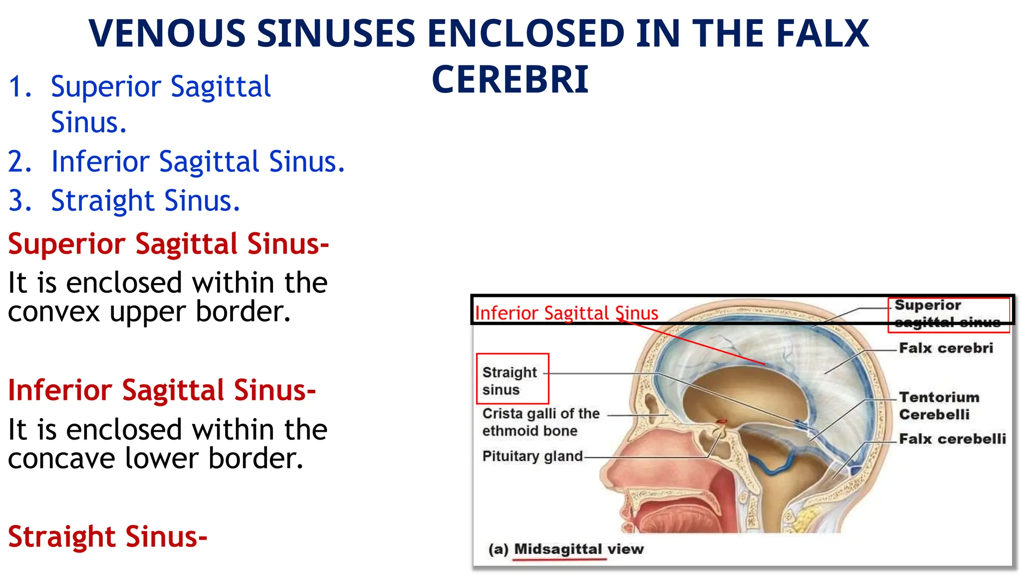 Anatomy of the CRANIAL-CAVITY-I in human.ppt