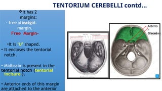 Anatomy of the CRANIAL-CAVITY-I in human.ppt
