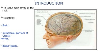 Anatomy of the CRANIAL-CAVITY-I in human.ppt