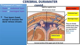 Anatomy of the CRANIAL-CAVITY-I in human.ppt