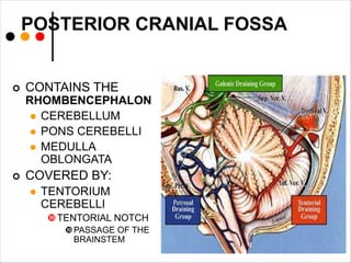 craniallllllllllllCRANIAL-FOSSAE-Copy.pdf