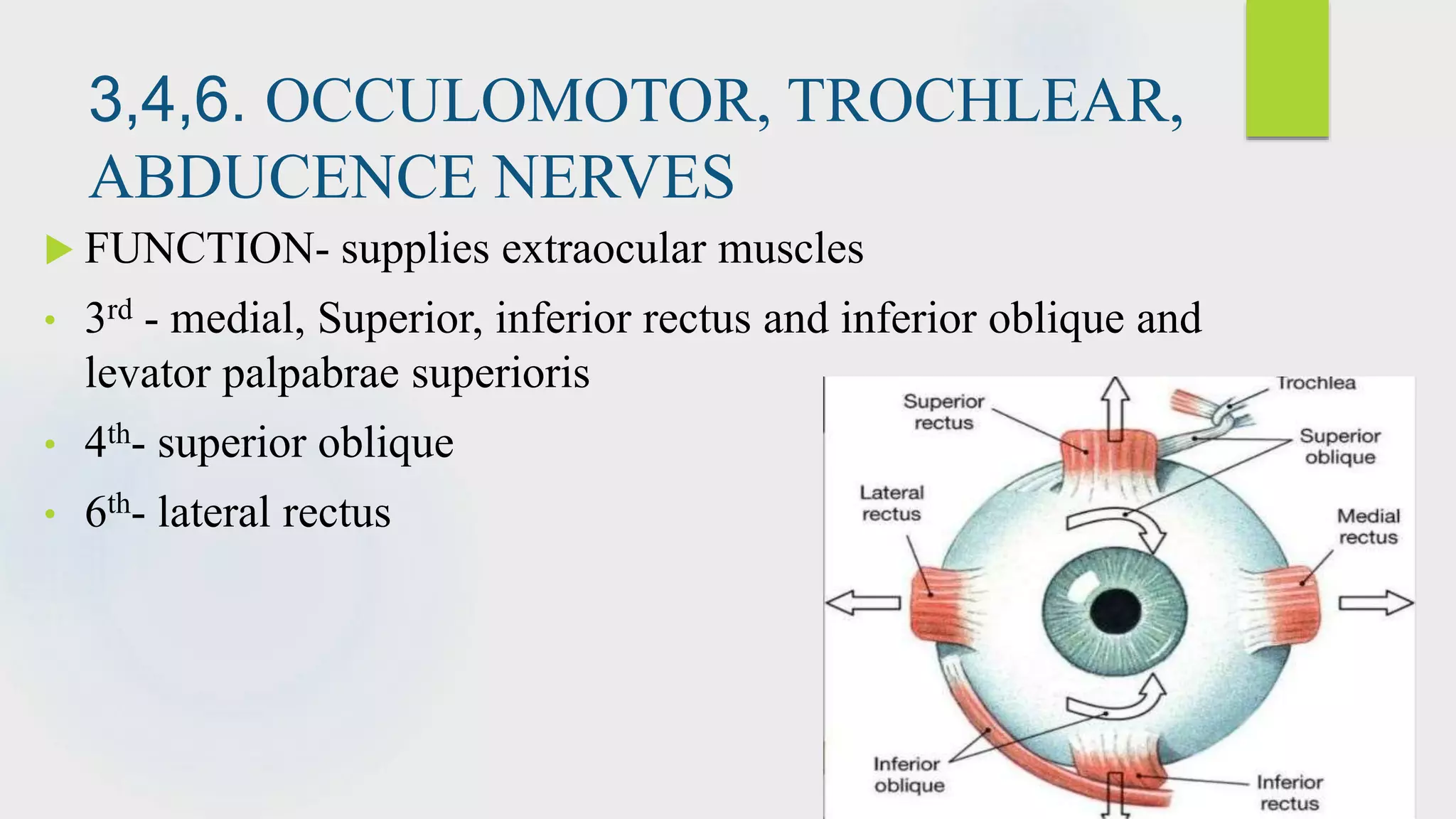 Cranial nerve-examination.ppt