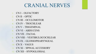 Cranial nerve-examination.ppt