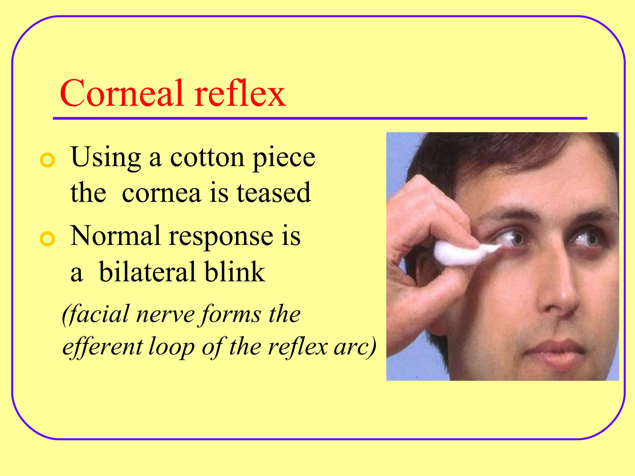 cranial-nerve-examination-converted-part-1.docx