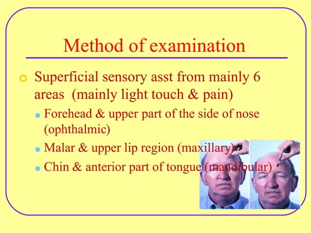 cranial-nerve-examination-converted-part-1.docx