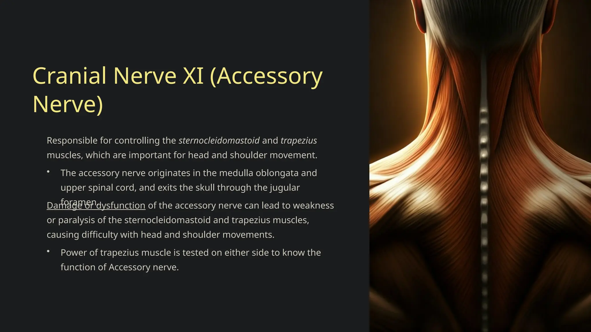 Cranial Nerve Examination : A Comprehensive Guide | PPTX