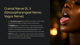 Cranial Nerve Examination : A Comprehensive Guide | PPTX