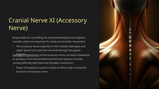 Cranial Nerve Examination : A Comprehensive Guide | PPTX