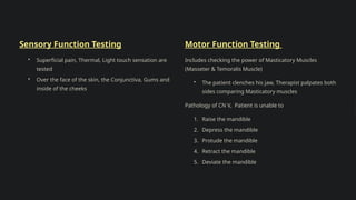 Cranial Nerve Examination : A Comprehensive Guide | PPTX