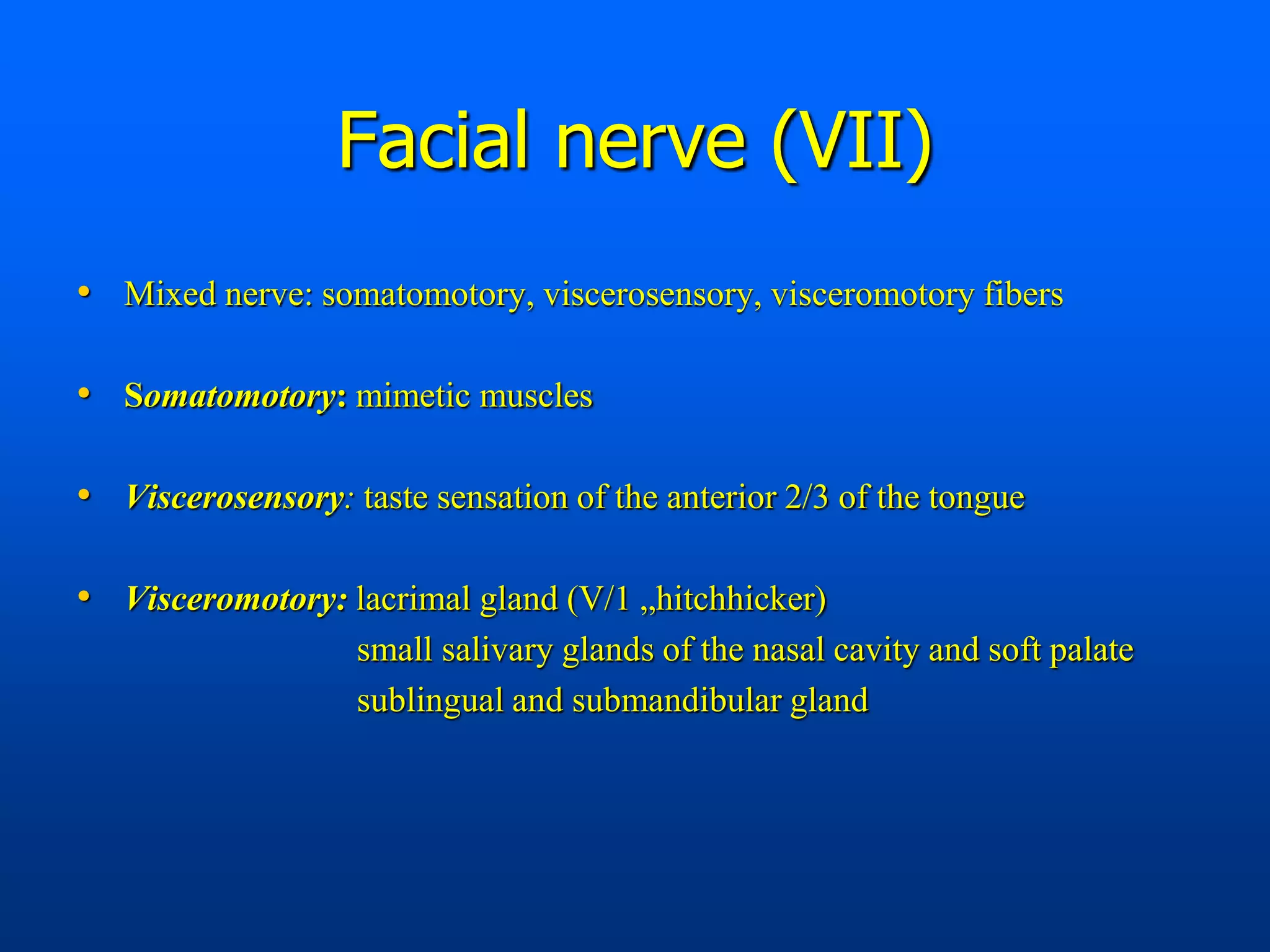 Cranial-nerves2011gyógytornász.ppt
