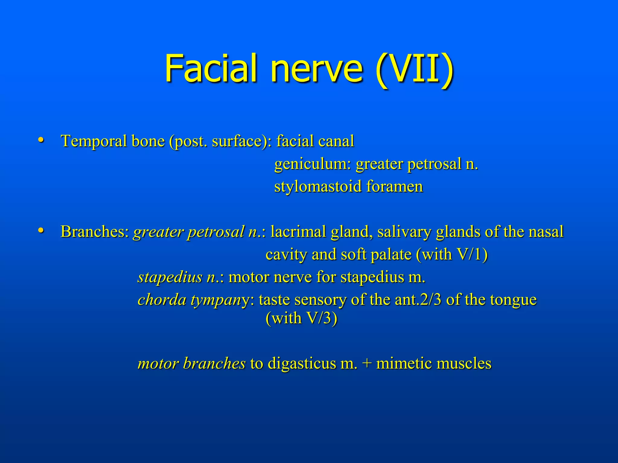 Cranial-nerves2011gyógytornász.ppt