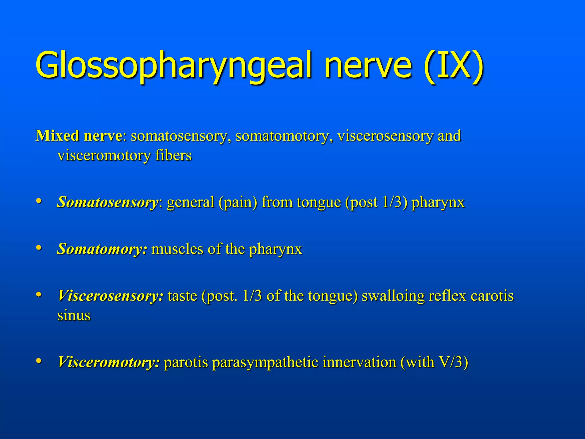 Cranial-nerves2011gyógytornász.ppt | Free Download