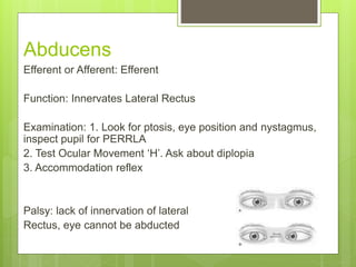 Cranial Nerves | PPTX