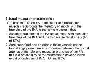 Cranial anastomoses and dangerous vascular connections | PPT
