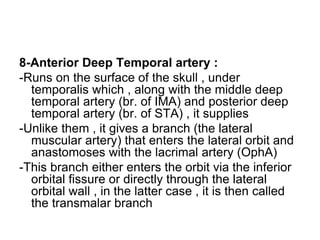 Cranial anastomoses and dangerous vascular connections | PPT